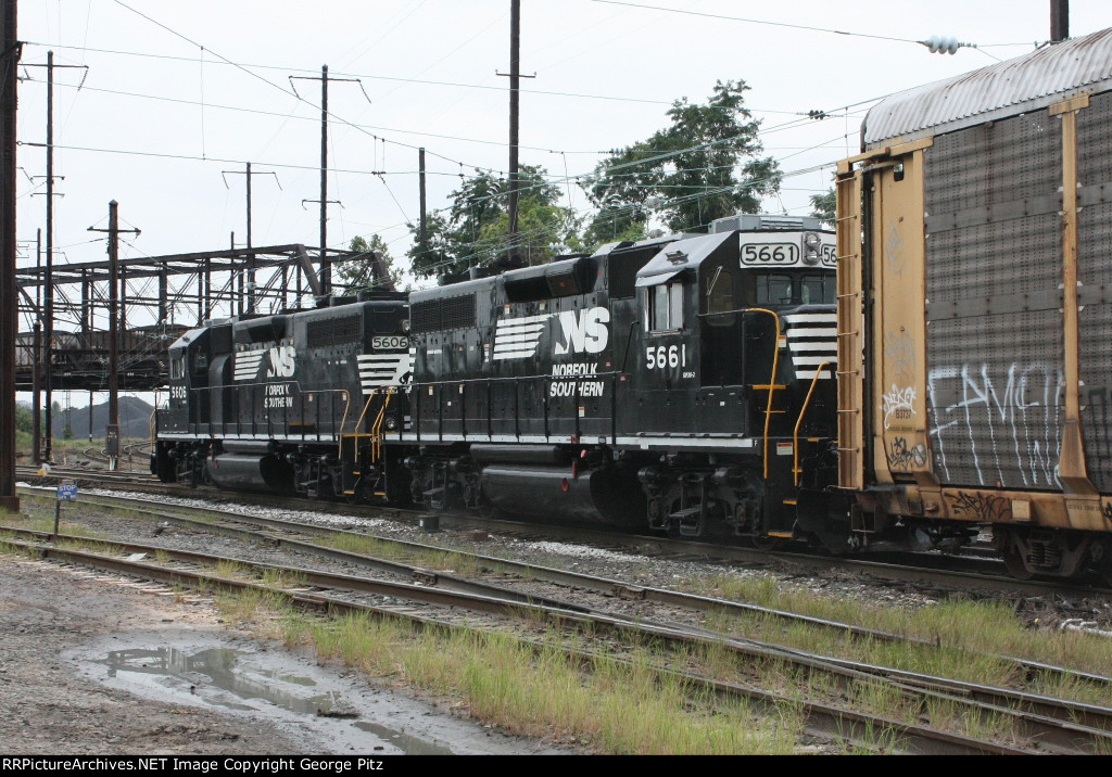 Headed for the branch